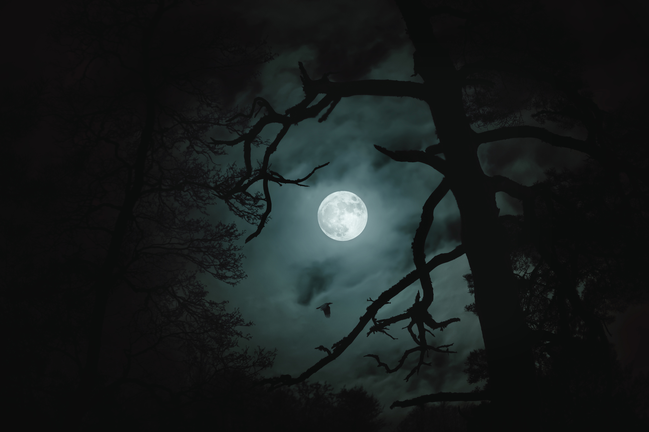 Does the Full Moon Really Make People Act Strangely?