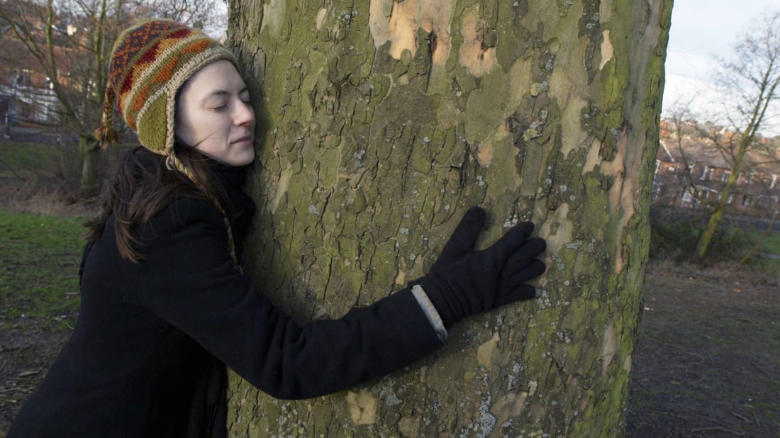 Tree Hugging In Iceland Mental Floss