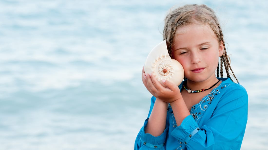 Why Do Shells Sound Like the Ocean? | Mental Floss