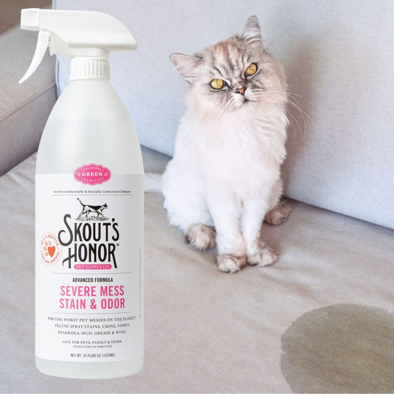 The 15 Best Pet-Safe Cleaning Products, According to Experts