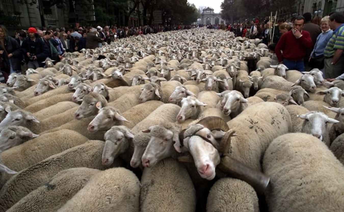 6 Fall Festivals Around the World That Celebrate Animals | Mental Floss