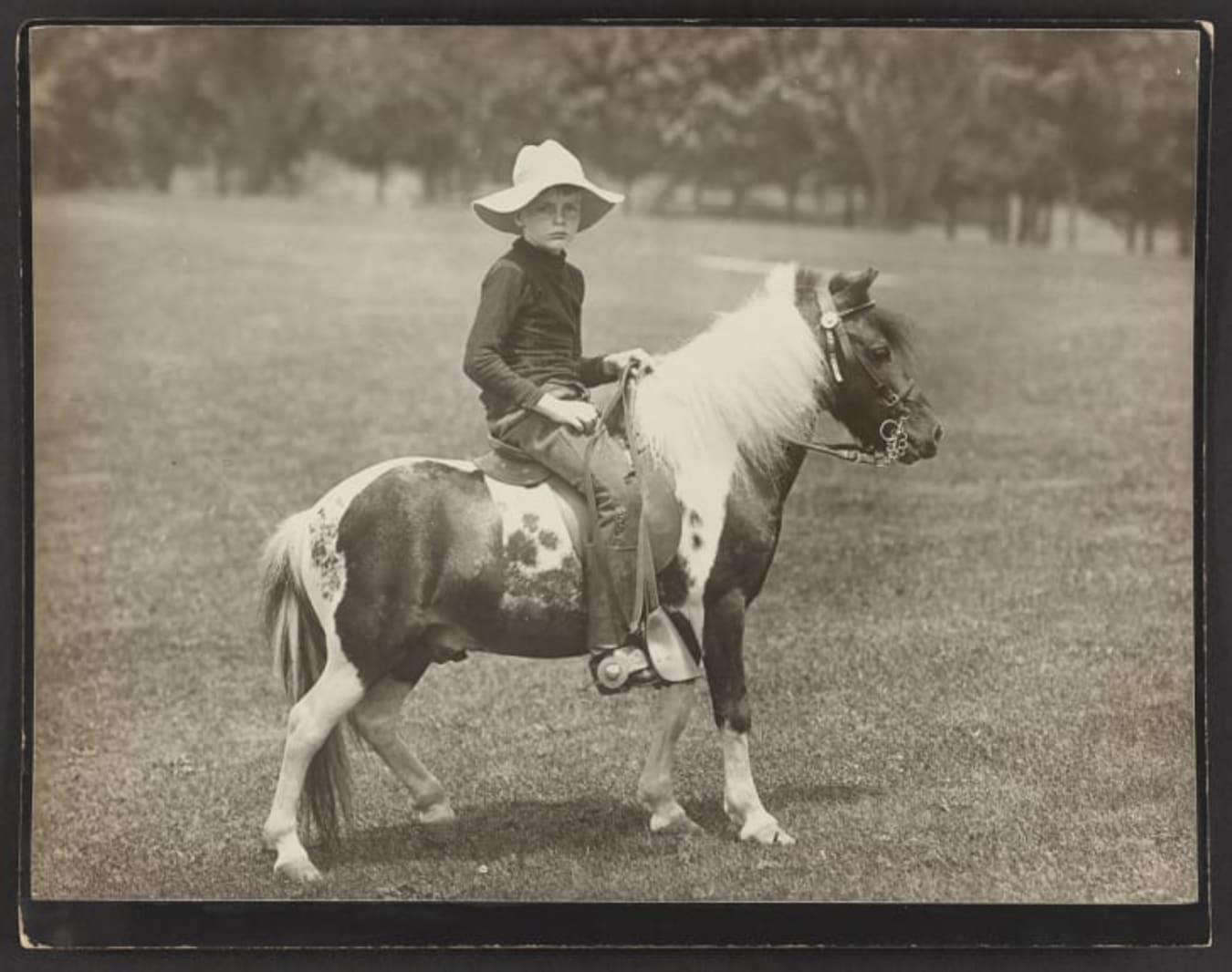 Theodore Roosevelt's Pets | Mental Floss