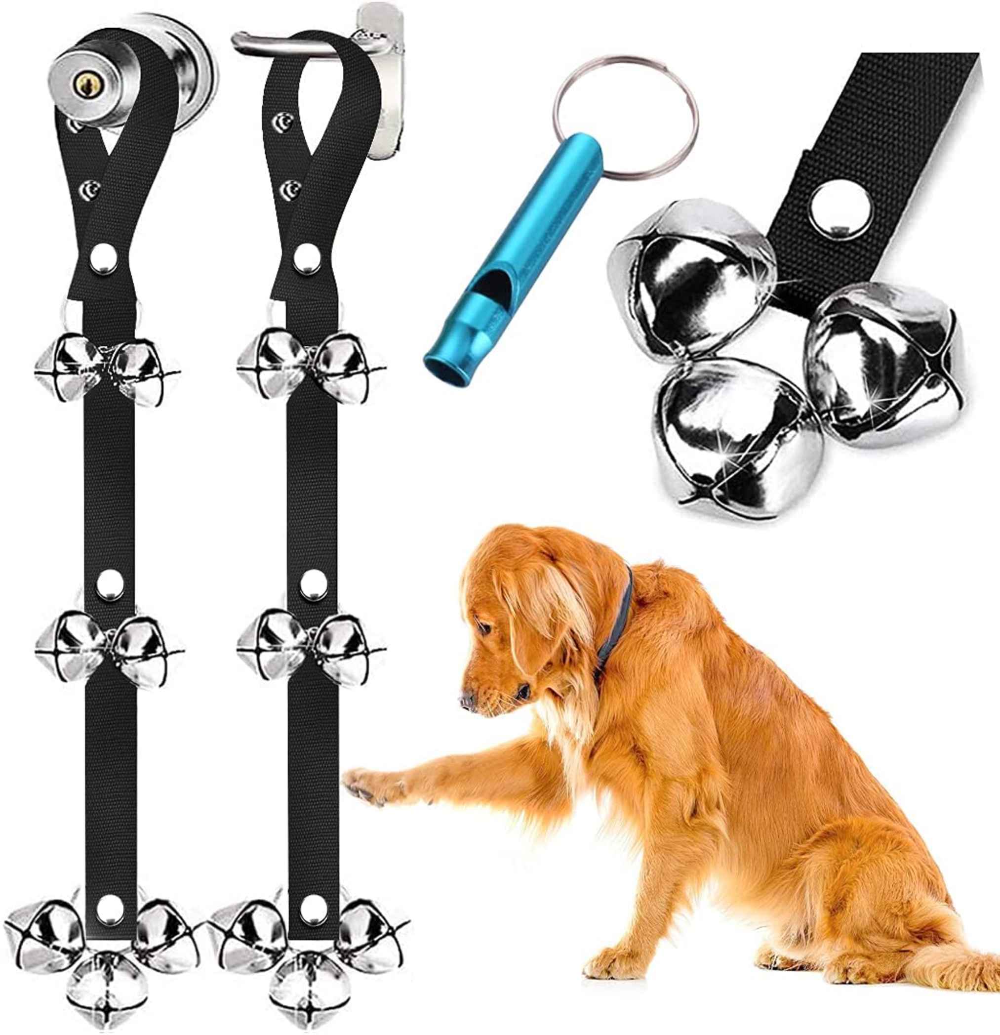 15 Must-Have Accessories for Any Dog Owner