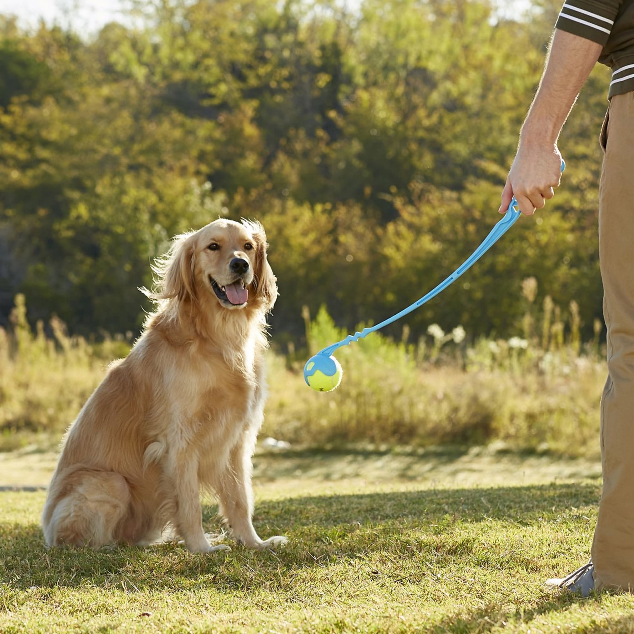 10 of the Best Outdoor Dog Toys for Summer, According to Experts