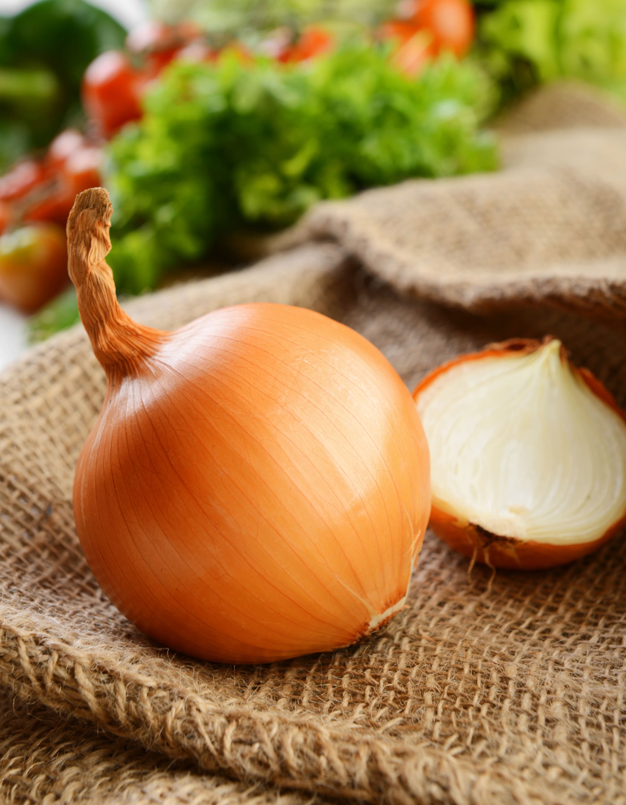 Types of Onions and Their Uses