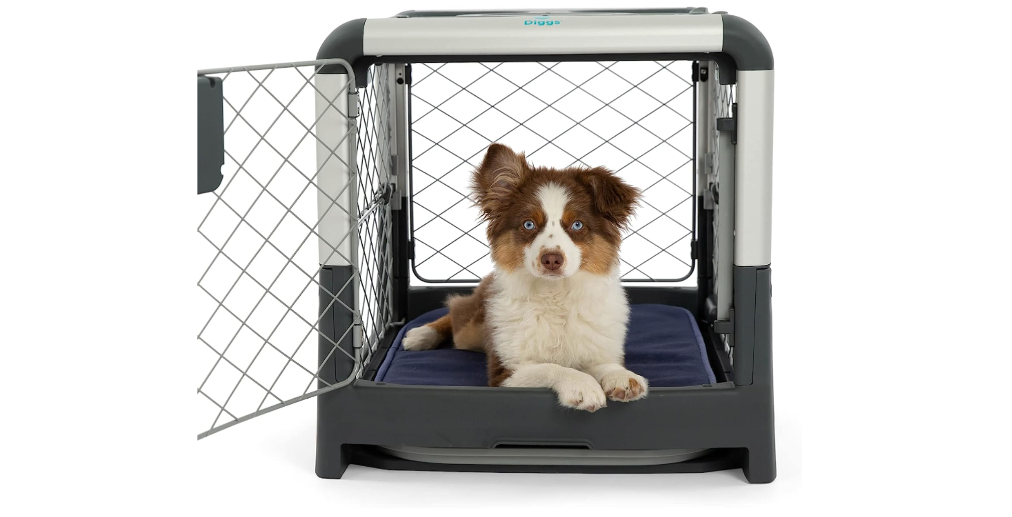 12 of the Best Pet Travel Accessories To Make Your Trips Easier