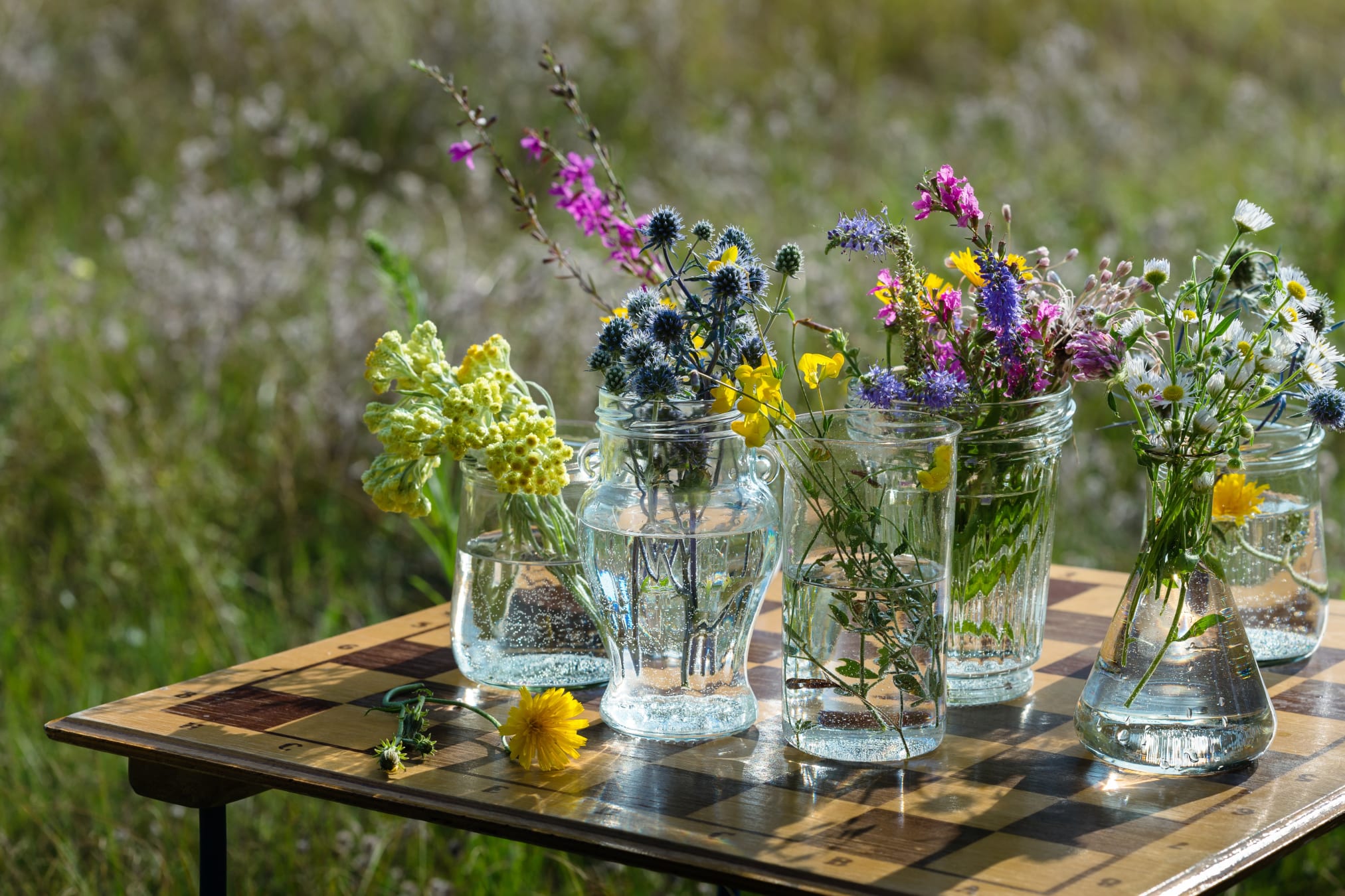 7 Tips for Keeping Cut Flowers Fresh