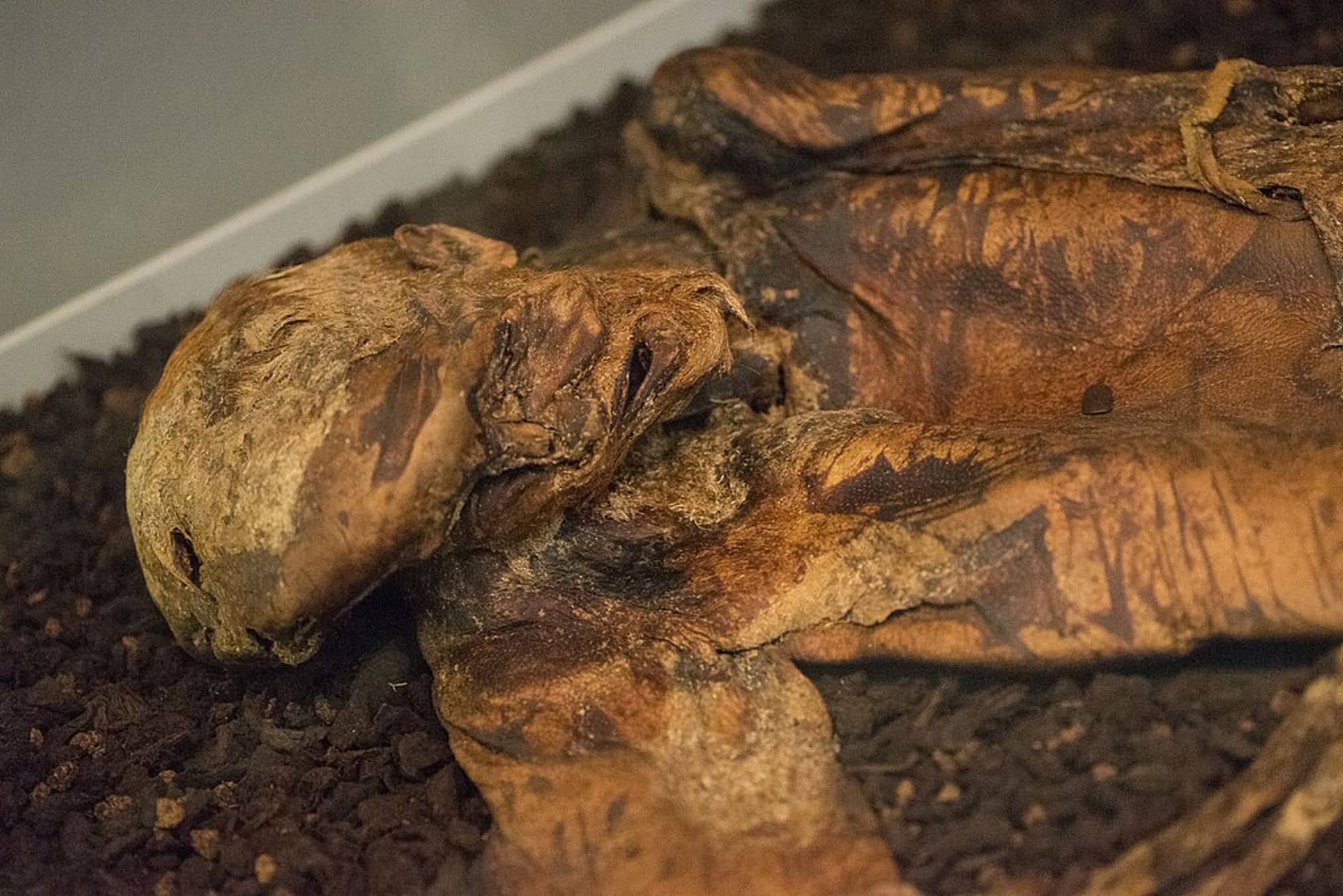 A Brief History of Bog Bodies