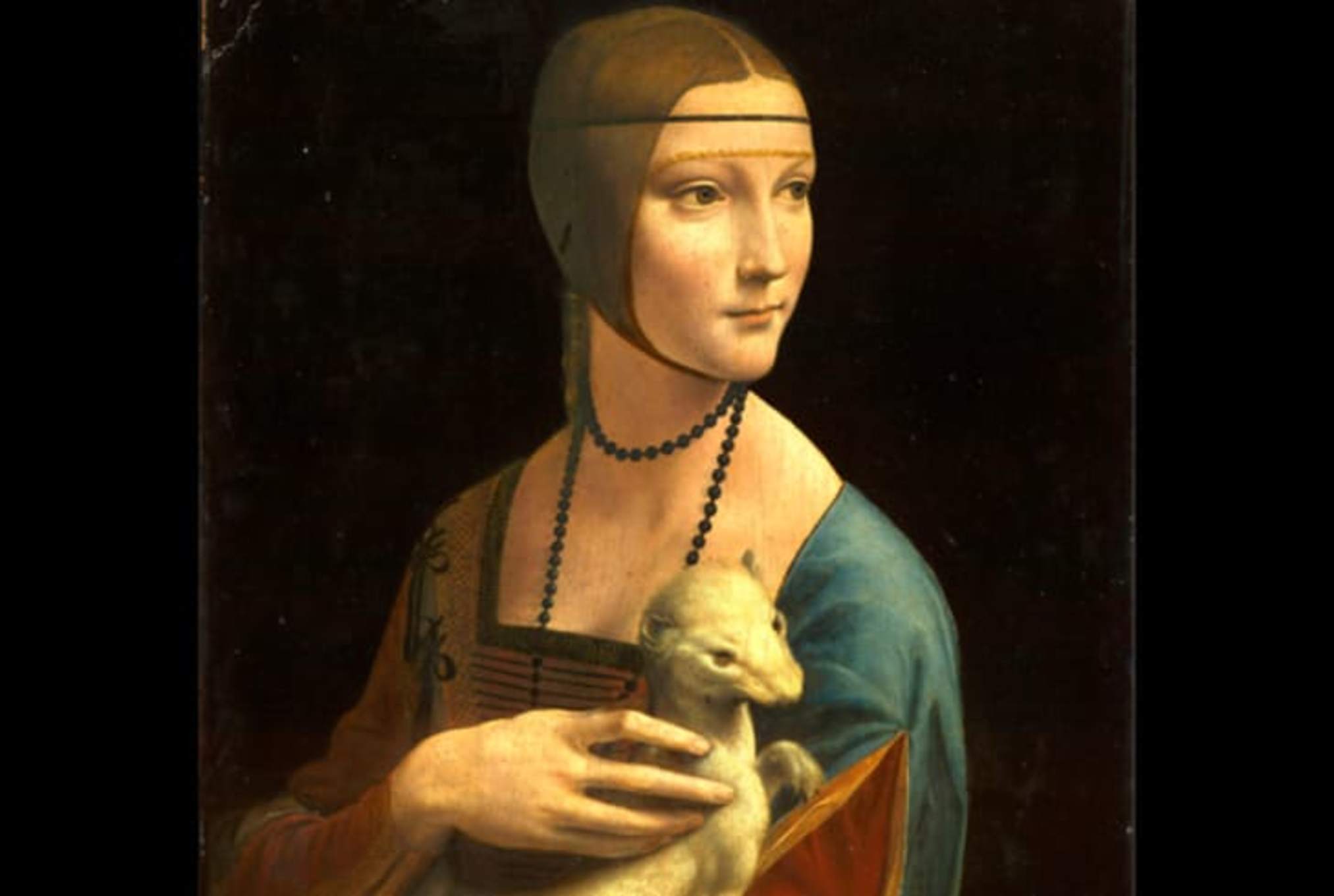 13 Fun Facts About Ferrets | Mental Floss