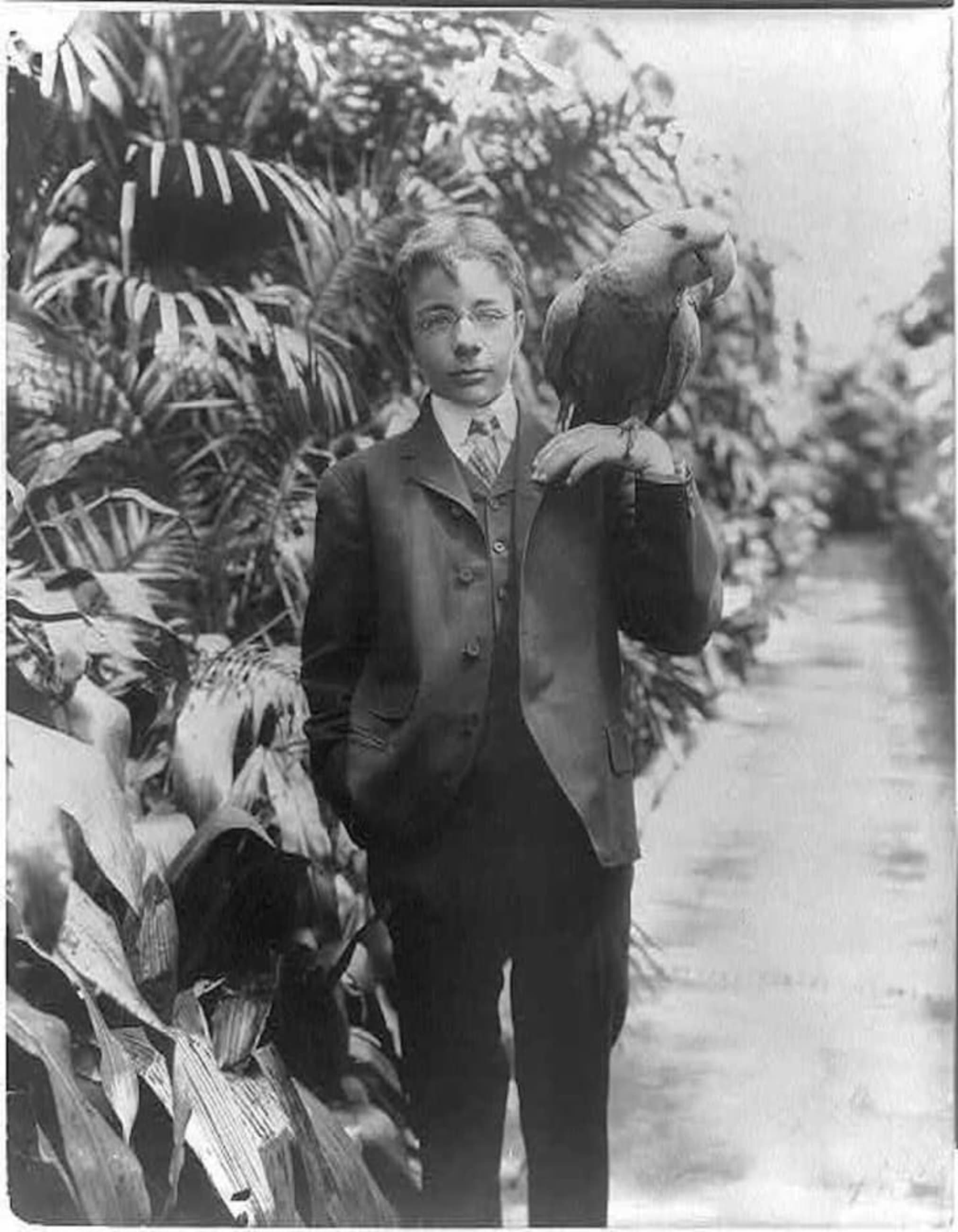 Theodore Roosevelt's Pets | Mental Floss