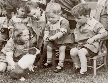 14 Adorable, Vintage Photos of Rabbits | Mental Floss