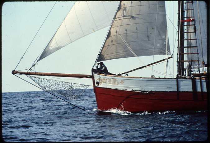 30 Fun Facts About The Voyage of the Mimi