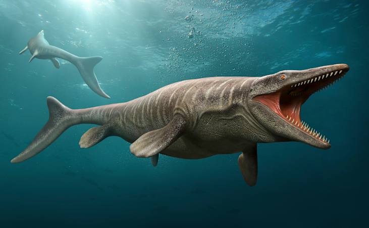 7 Prehistoric Creatures That Aren’t Dinosaurs