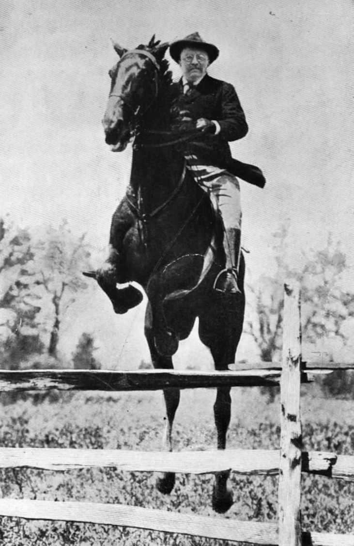 Theodore Roosevelt's Pets | Mental Floss